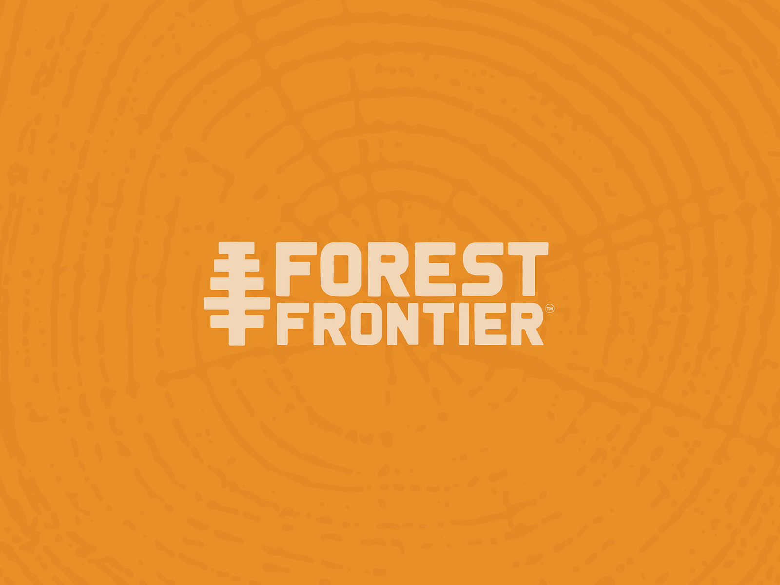 Camping Store Logo Branding by Marquis Barrington on Dribbble