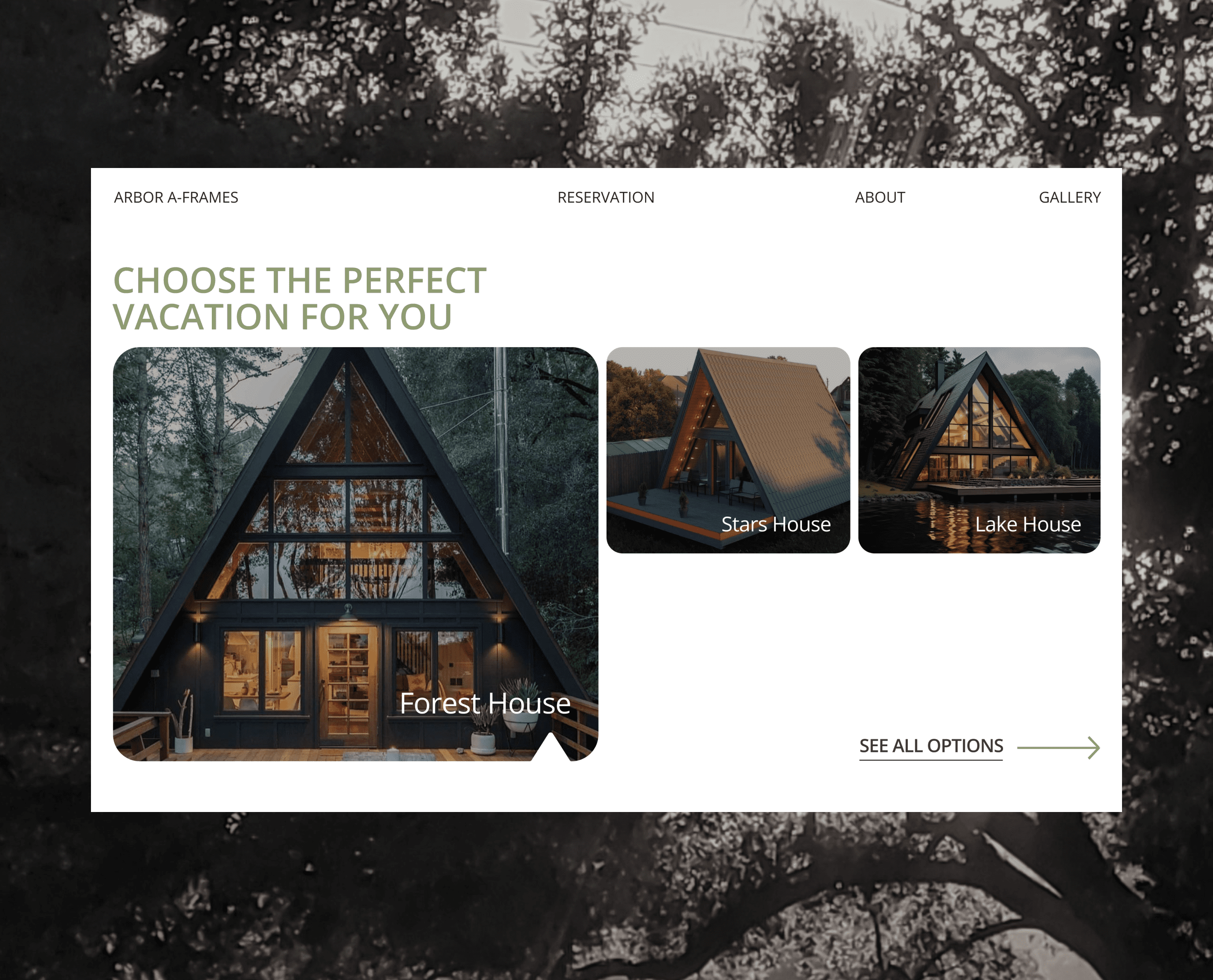 A-Frames Website by Sofya Douhel on Dribbble
