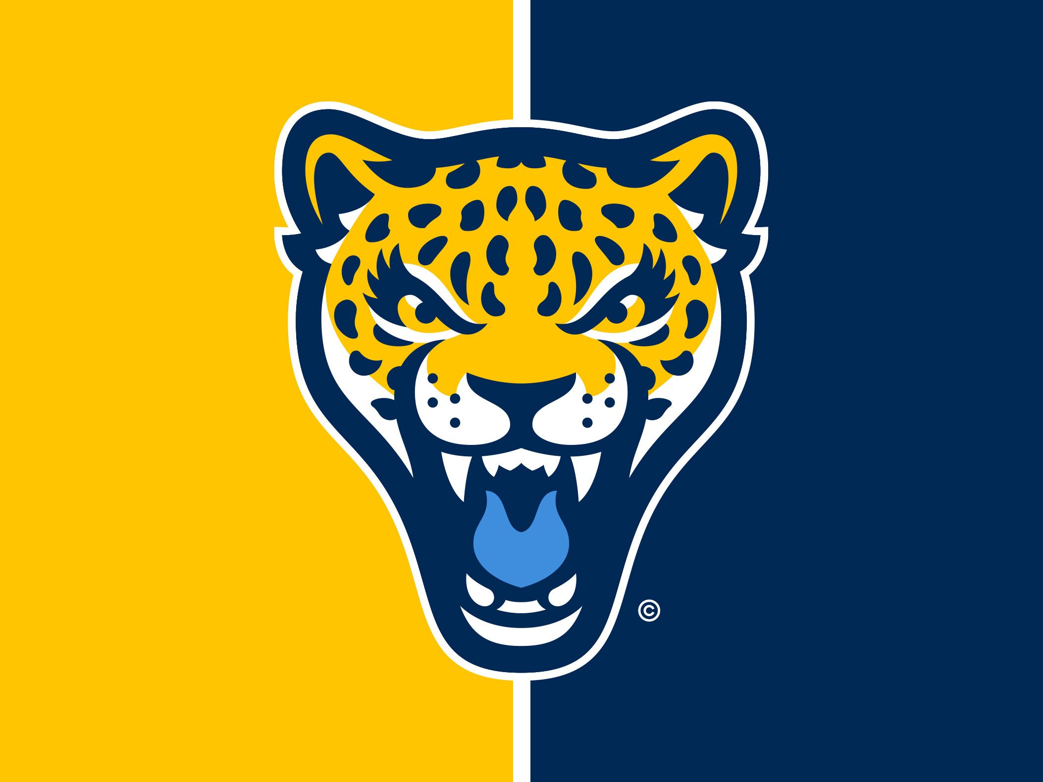 Roaring Jaguar Mascot Logo | Mercy Jags by Derrick Stratton on Dribbble