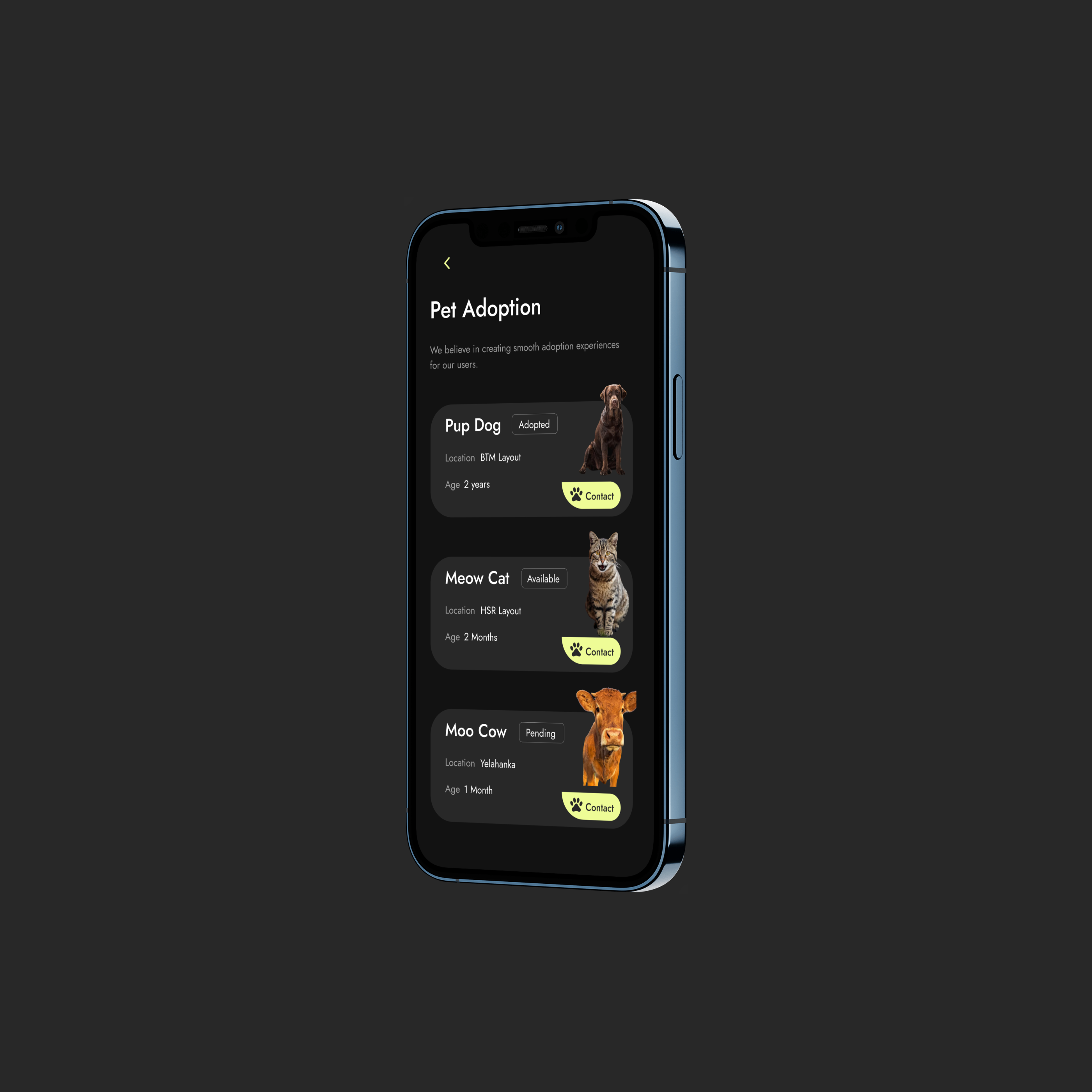 Pet Adoption Screen UI | Dark Mode by Deepthi N Anekal on Dribbble