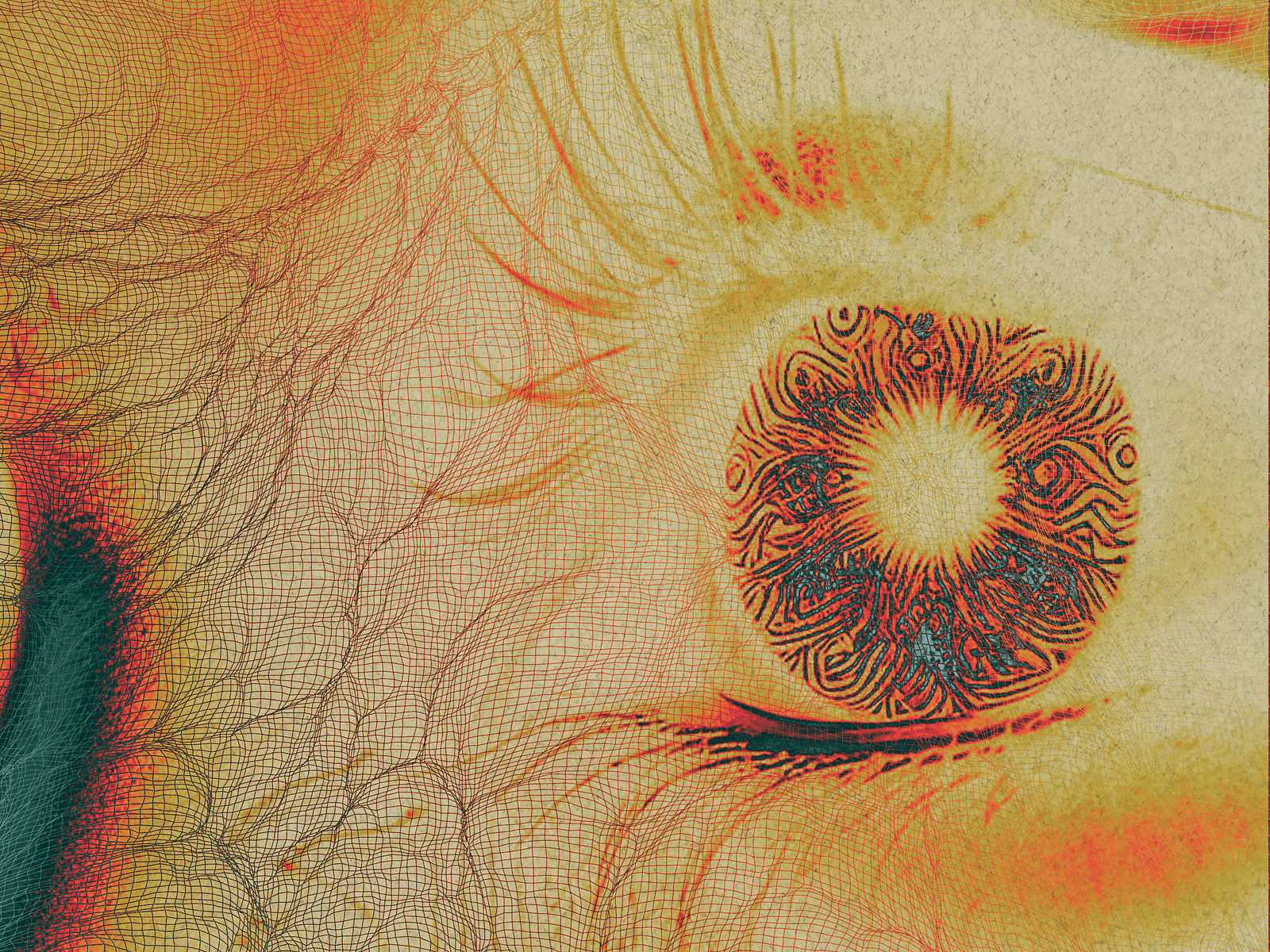 Transcends by Lucas on Dribbble