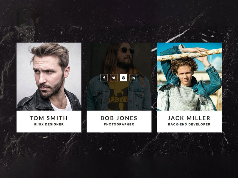 Team Section with hover animation using Bootstrap by codingflicks on ...