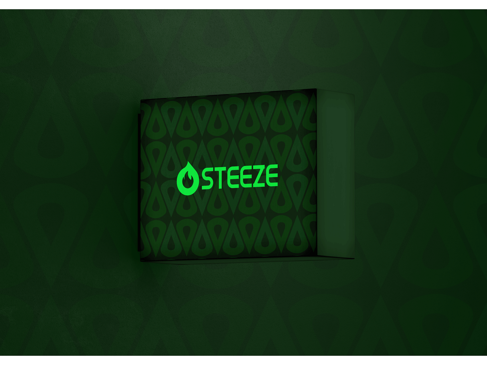 STEEZE Brand Identity by Kazeem Ibrahim on Dribbble