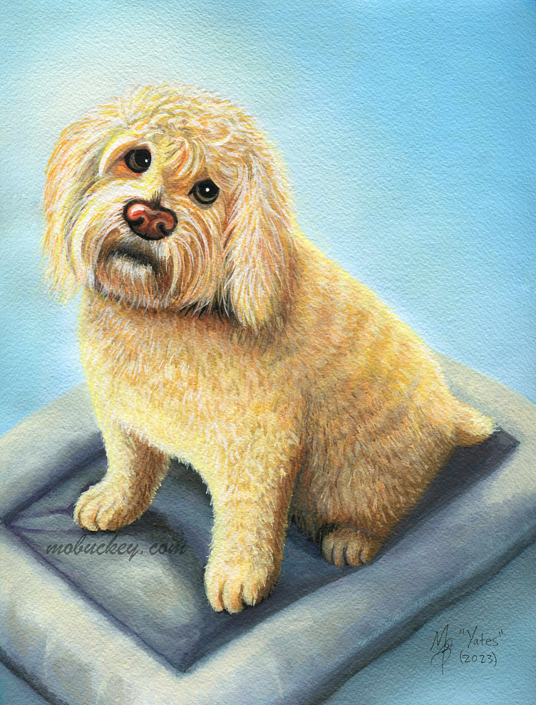 Pet Portrait of Yates | Gouache Illustration by Mo Buckey Illustrations ...