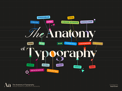 🪶 The Anatomy of Typography by Vasil Enev on Dribbble