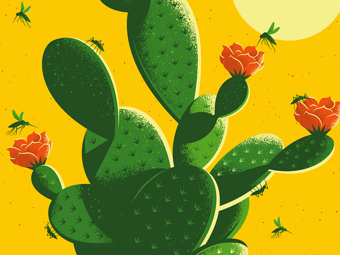 Jordan Wilson | Dribbble