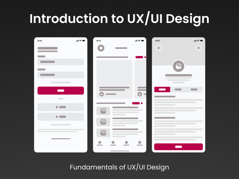 Introduction to UX/UI Design by Valery Aljoshin on Dribbble