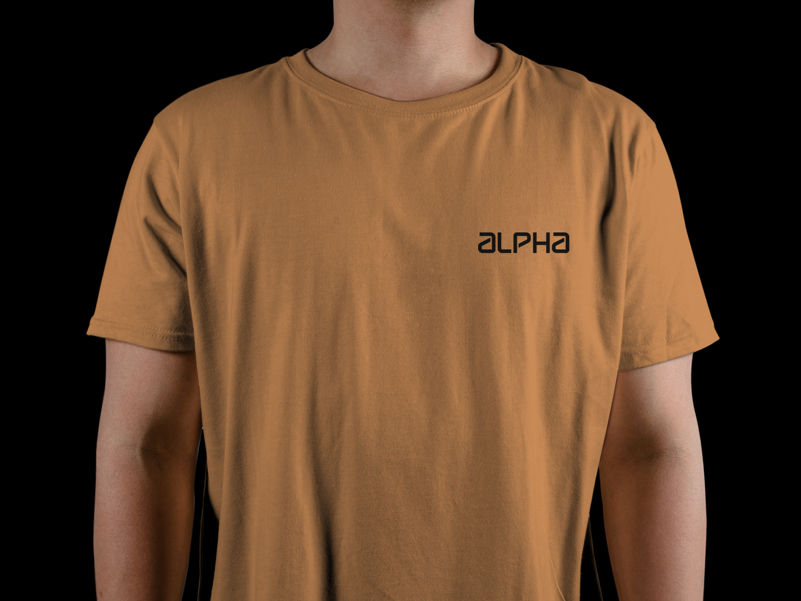 Alpha - Software Company Brand Identity by Jahid Hasan | Logo & Brand Designer on Dribbble