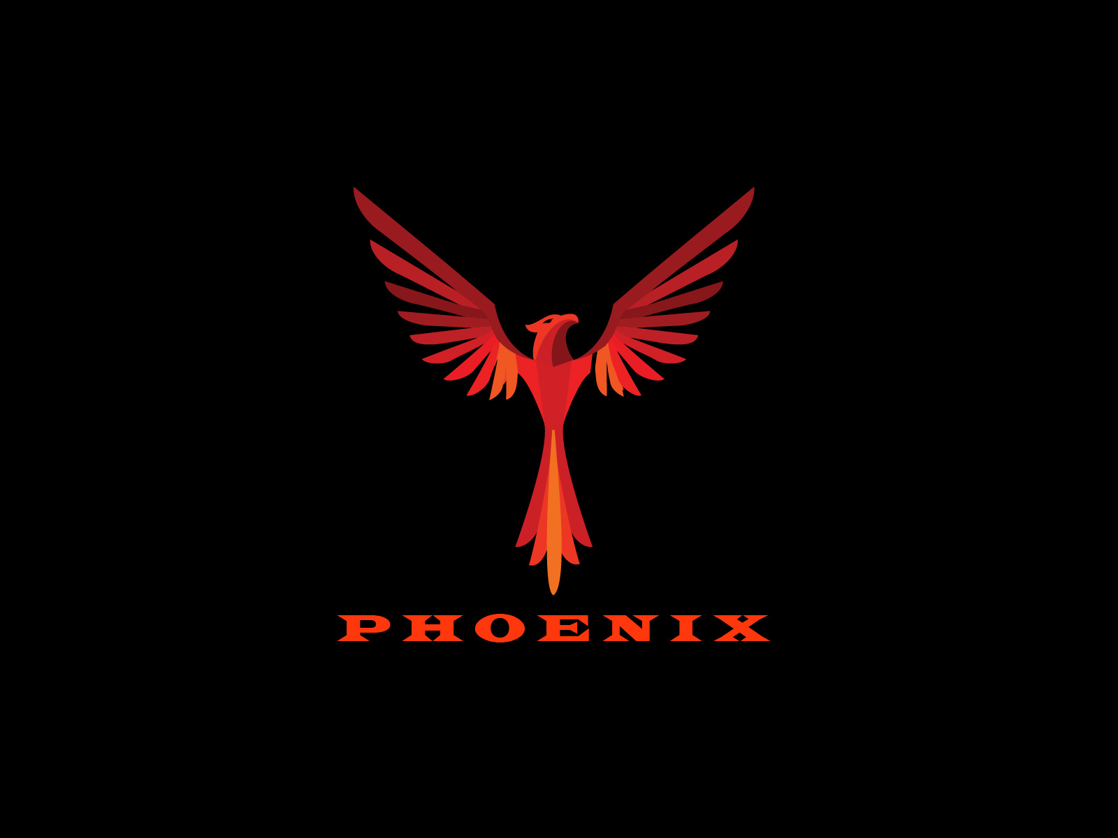 PHOENIX LOGOS by Edlogos on Dribbble