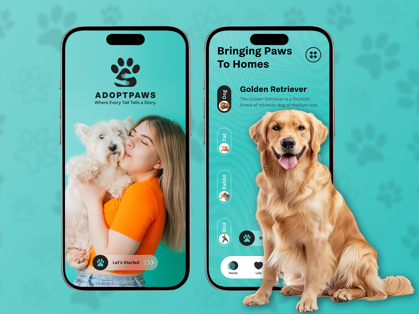 Pet Adoption App Design by Excellent Webworld on Dribbble
