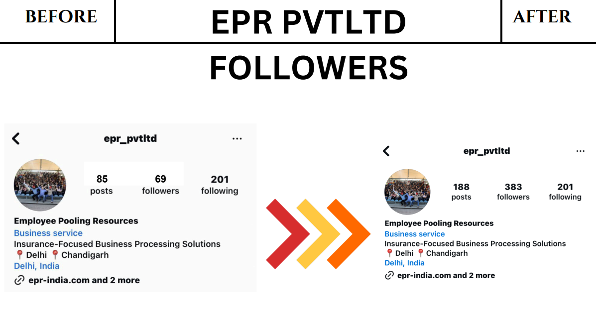 EPR PVT LTD FOLLOWERS SMM WORK by DigiLabz on Dribbble