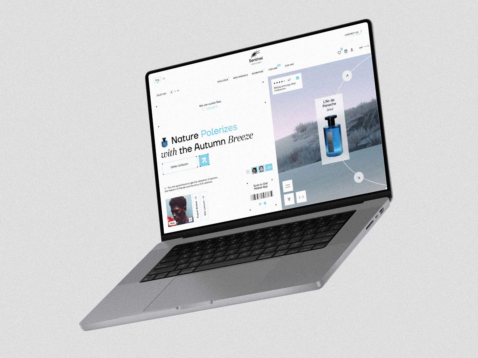 the perfume shop \ sentinel by Fantik Studio® on Dribbble