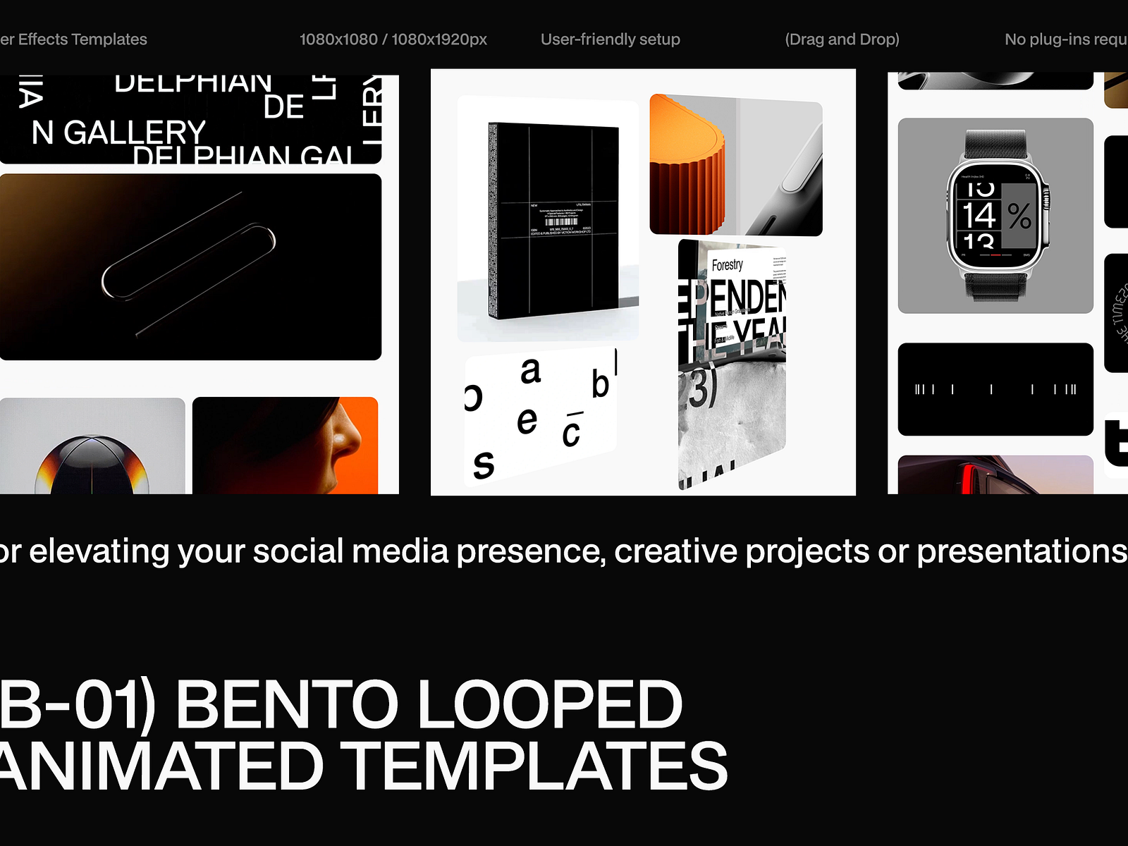 Bento Looped Animated Templates by William Hansen on Dribbble