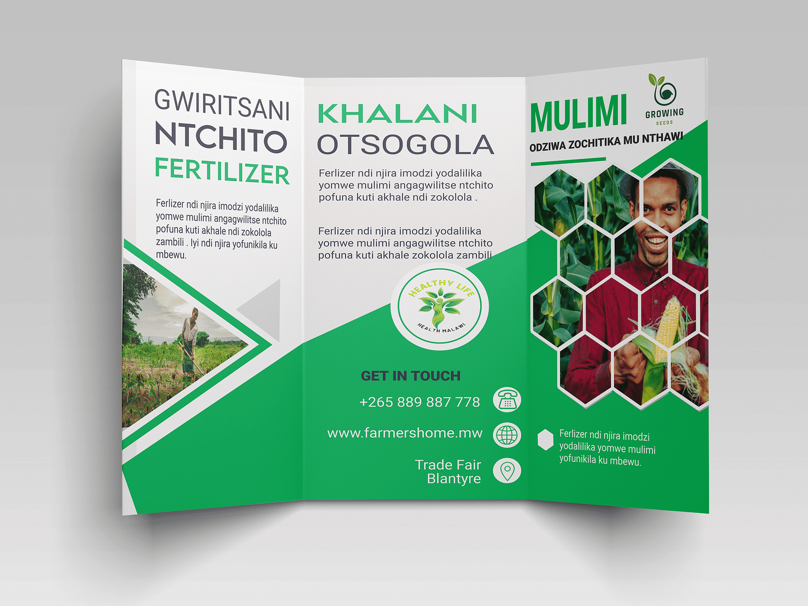 Bronchure Design by Edister Ndamera (EJ_Pixels) on Dribbble