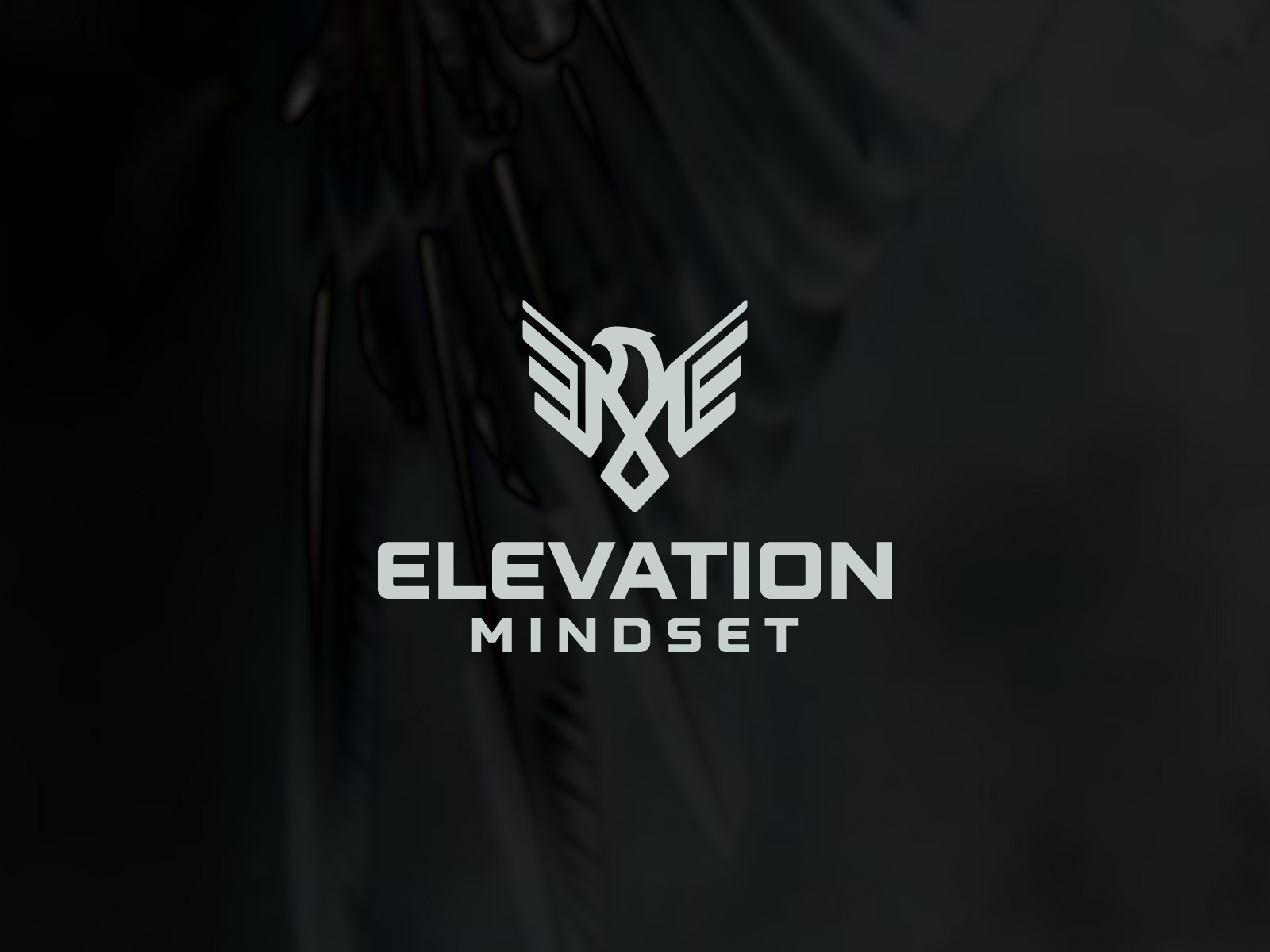 Elevation Mindset Logo Design by Anisur Rahman on Dribbble