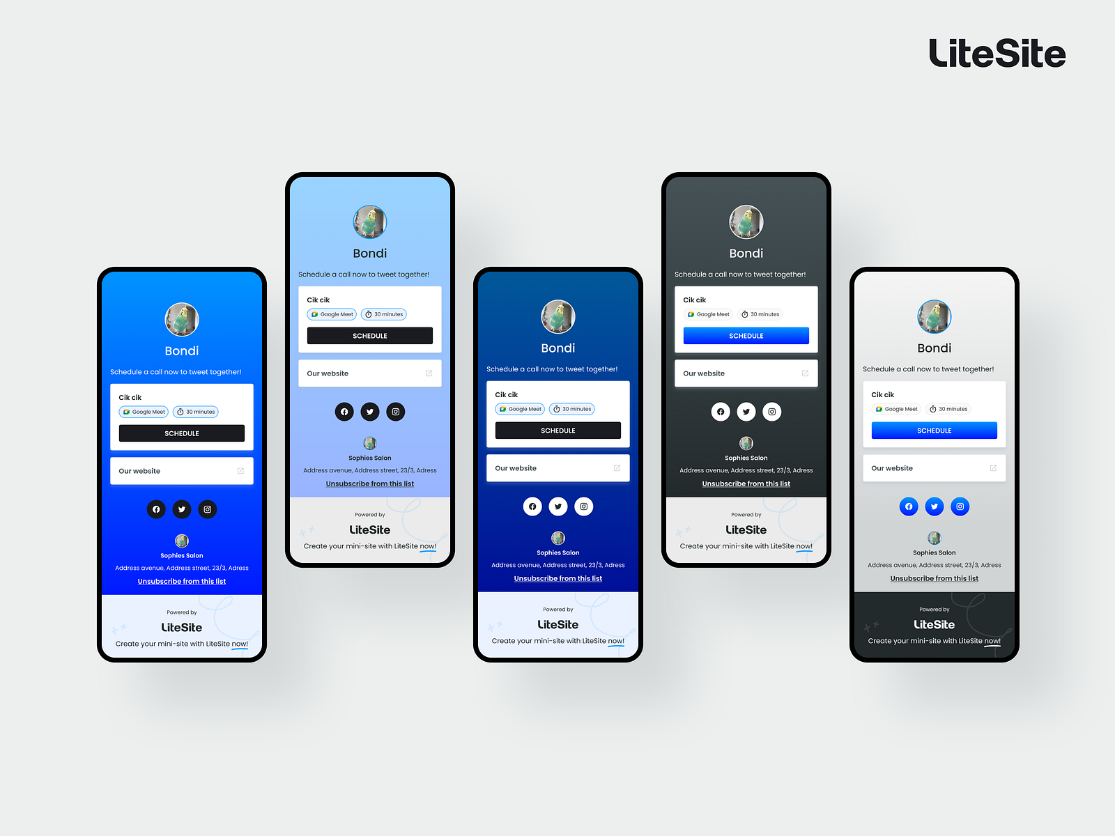 Litesite - Email Themes by Ayşe Doğan for Studio Scale on Dribbble