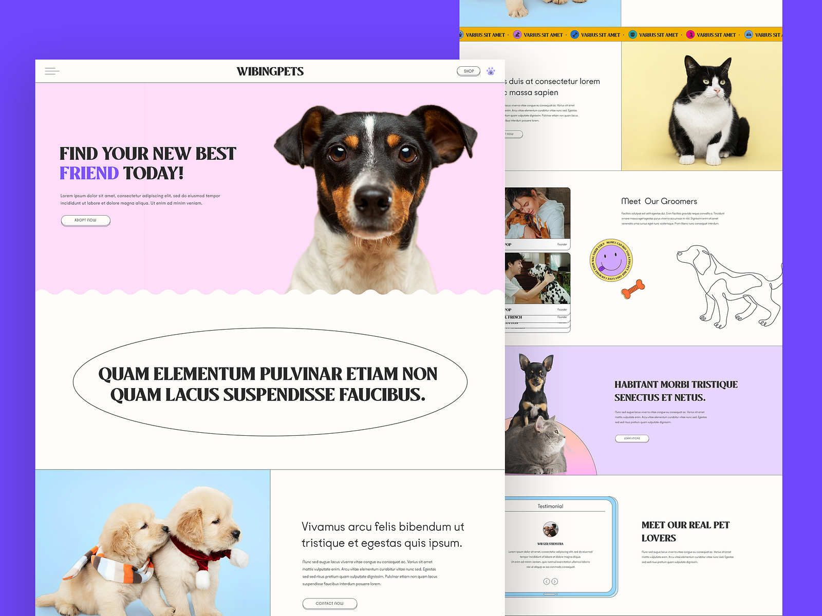 Pet Care Website Template | Dog and Cat Food Website Theme by ...