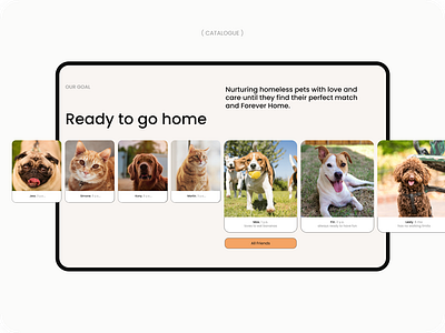 Pet shelter multipage redesign website by Anastasiia Bushueva on Dribbble
