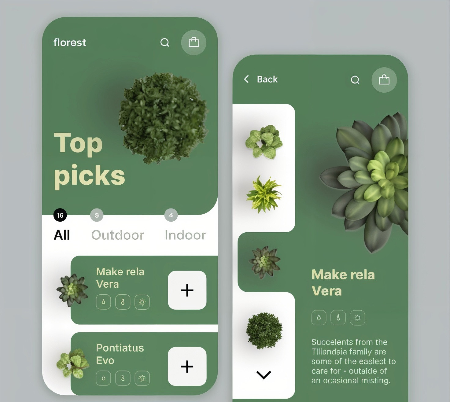 Plants Nursery Mobile App UI by Hinz Technologies on Dribbble
