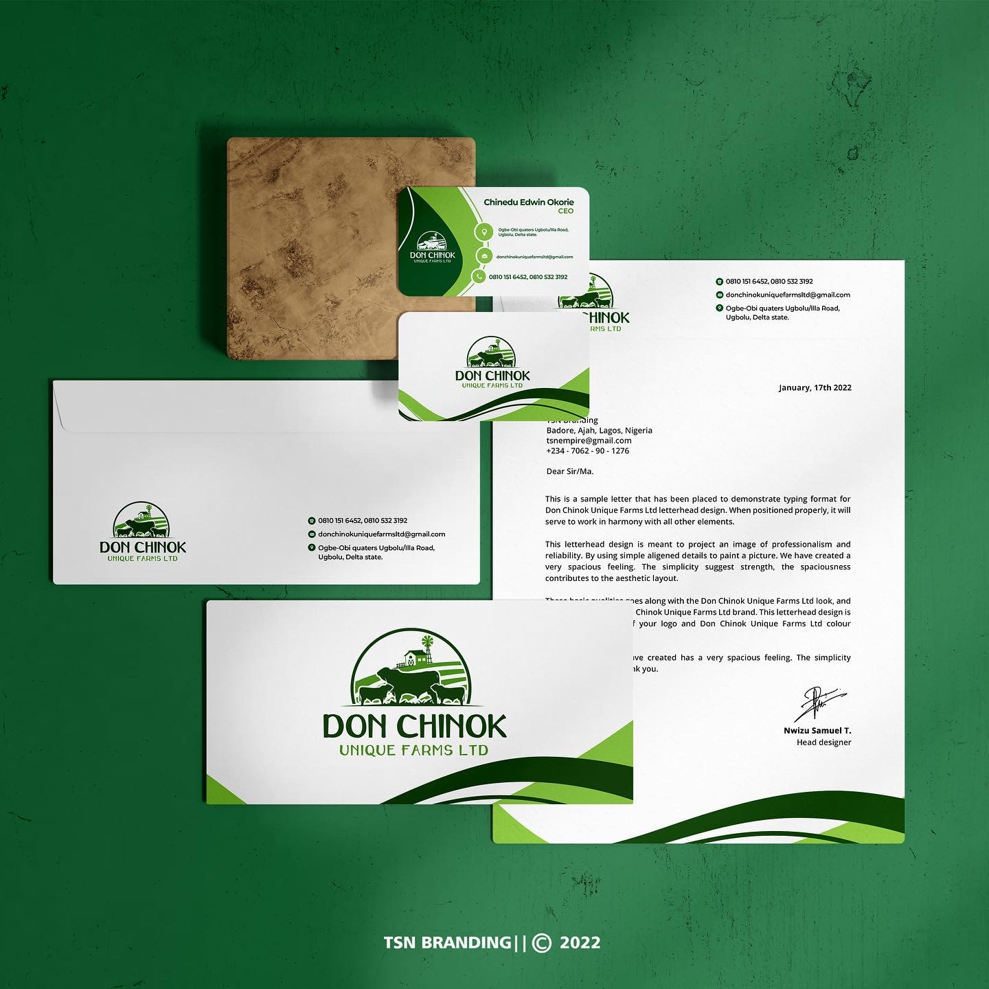 Don Chinok branding by TSN Graphics on Dribbble