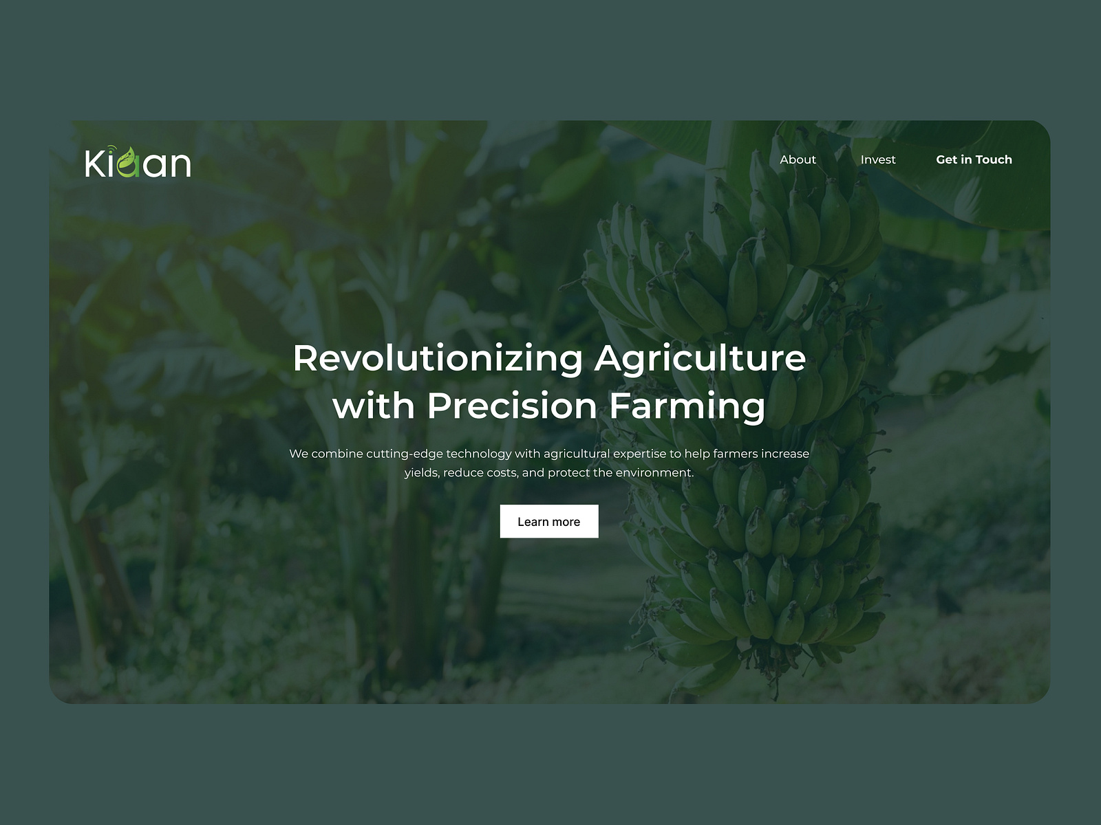 Kiaan Agrow - Web Design by The Web People on Dribbble