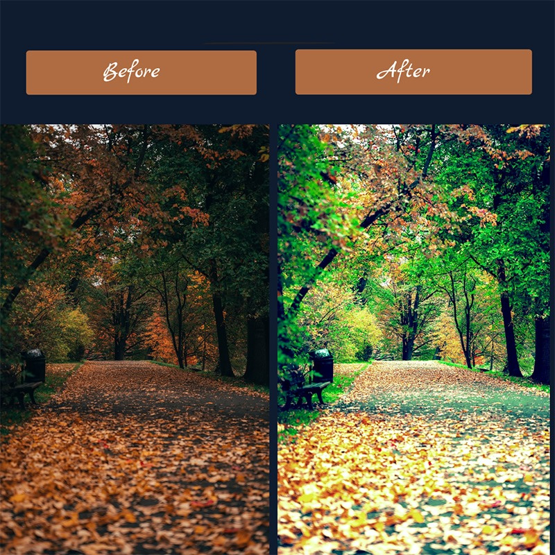 Color Manipulation designs, themes, templates and downloadable graphic ...