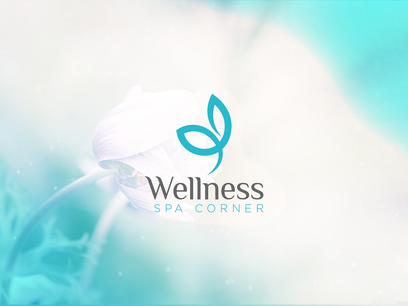 Spa and Wellness Logo | Brand Identity | Beauty Salon by VectStock on ...