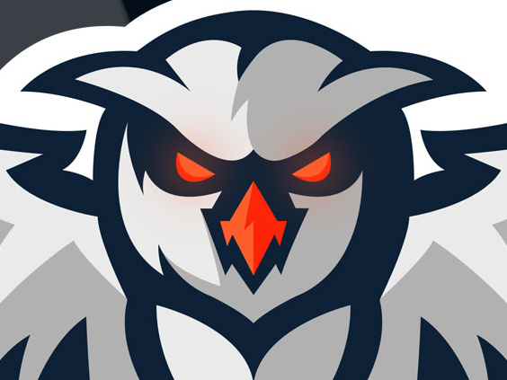 Owl Mascot Logo by Kuronami on Dribbble