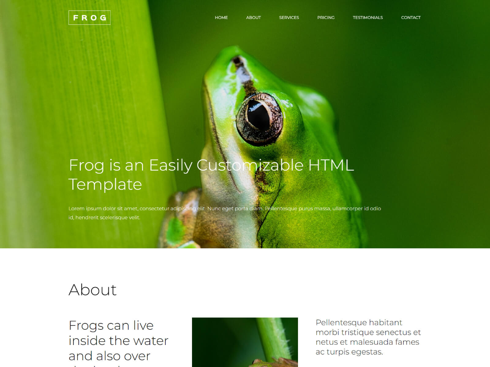 Frog HTML Template by LayoutFlow on Dribbble