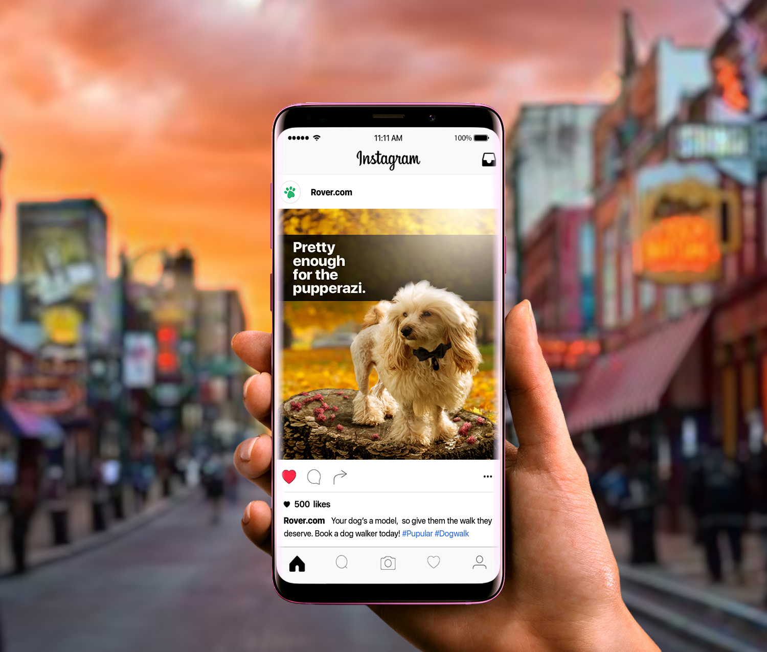 Rover ad concept by Sjon on Dribbble