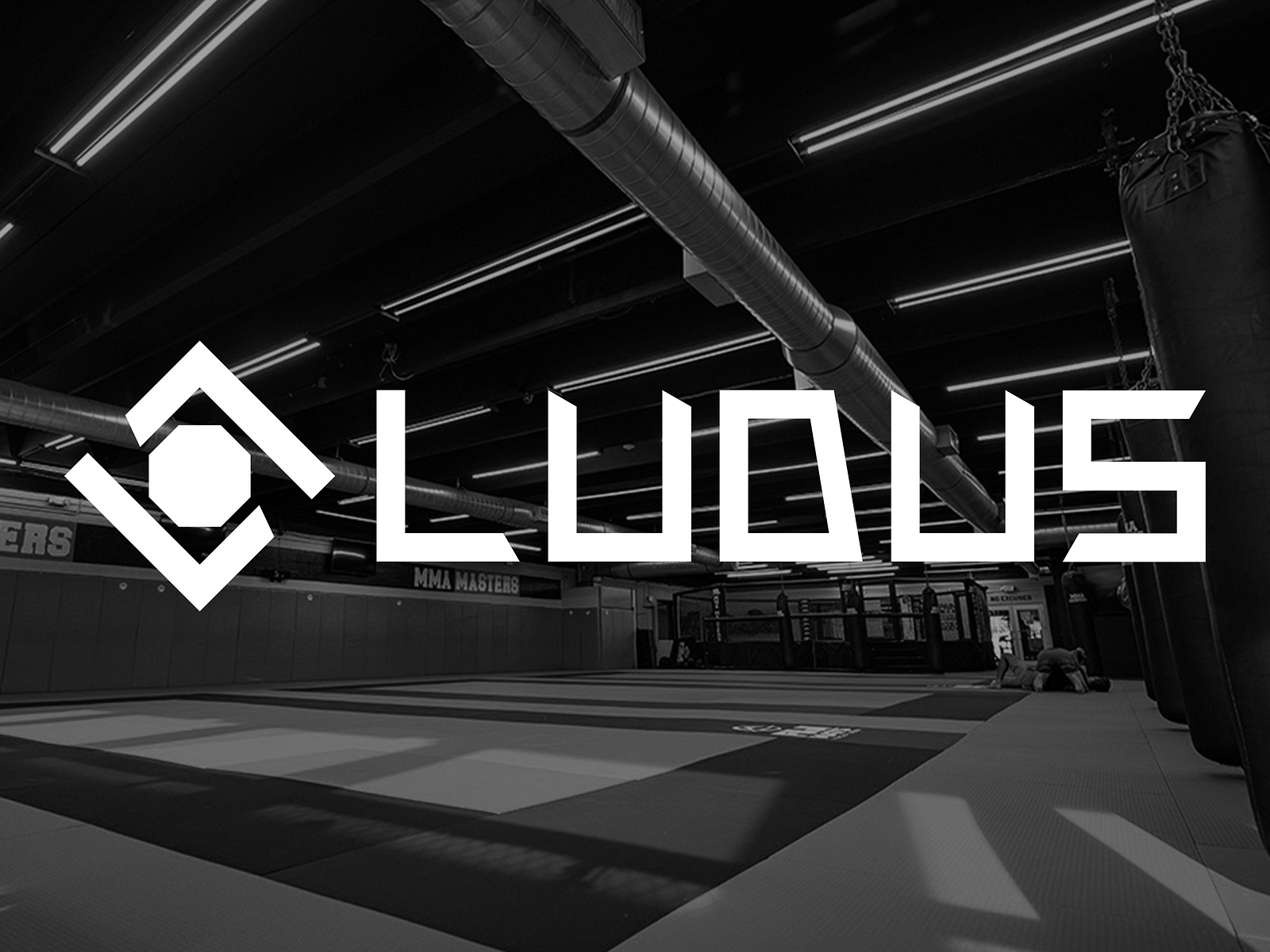 LUDUS by Göktuğ on Dribbble