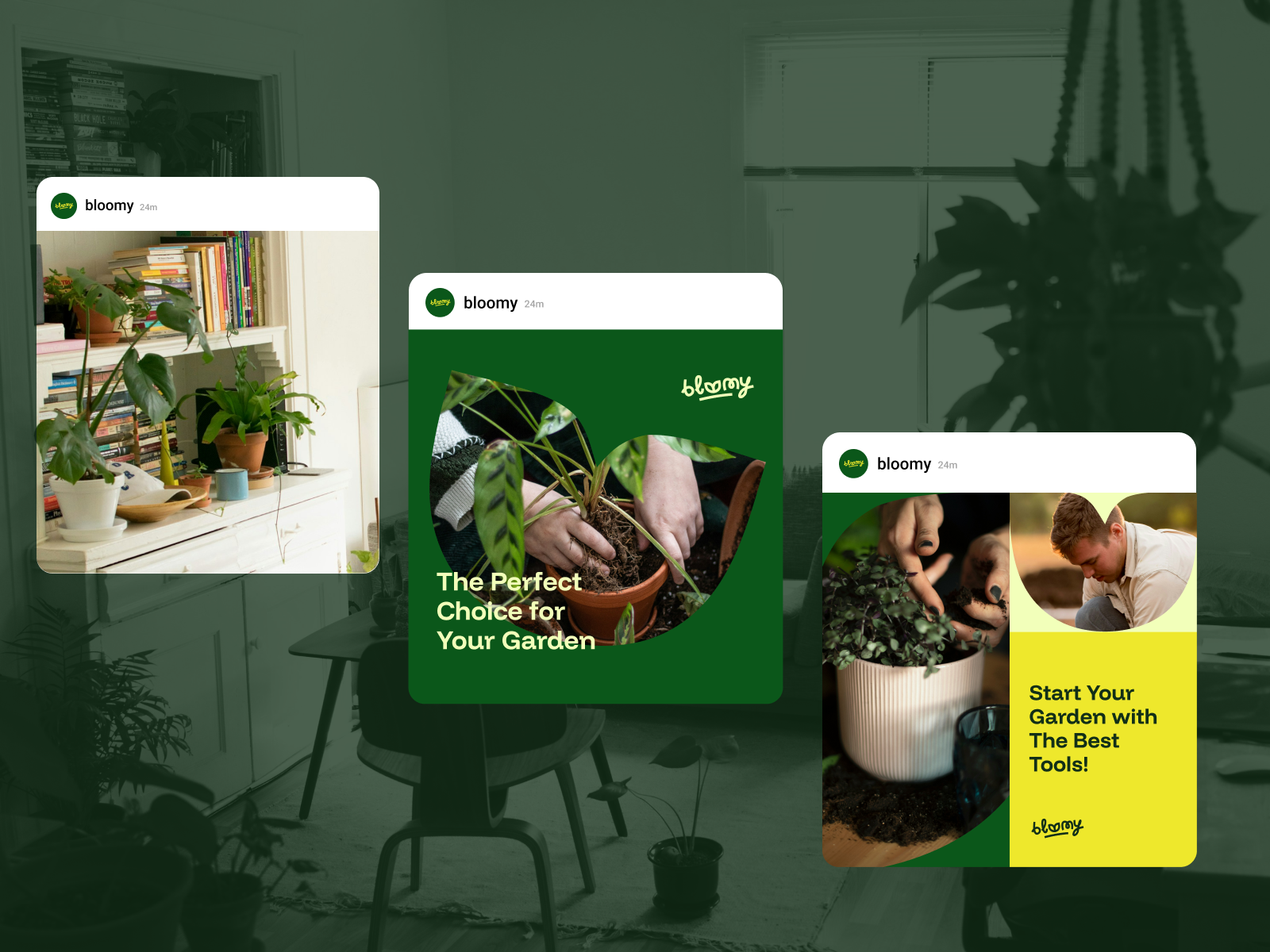 Bloomy - Plant Care Brand Identity by Vektora Branding for Vektora on ...