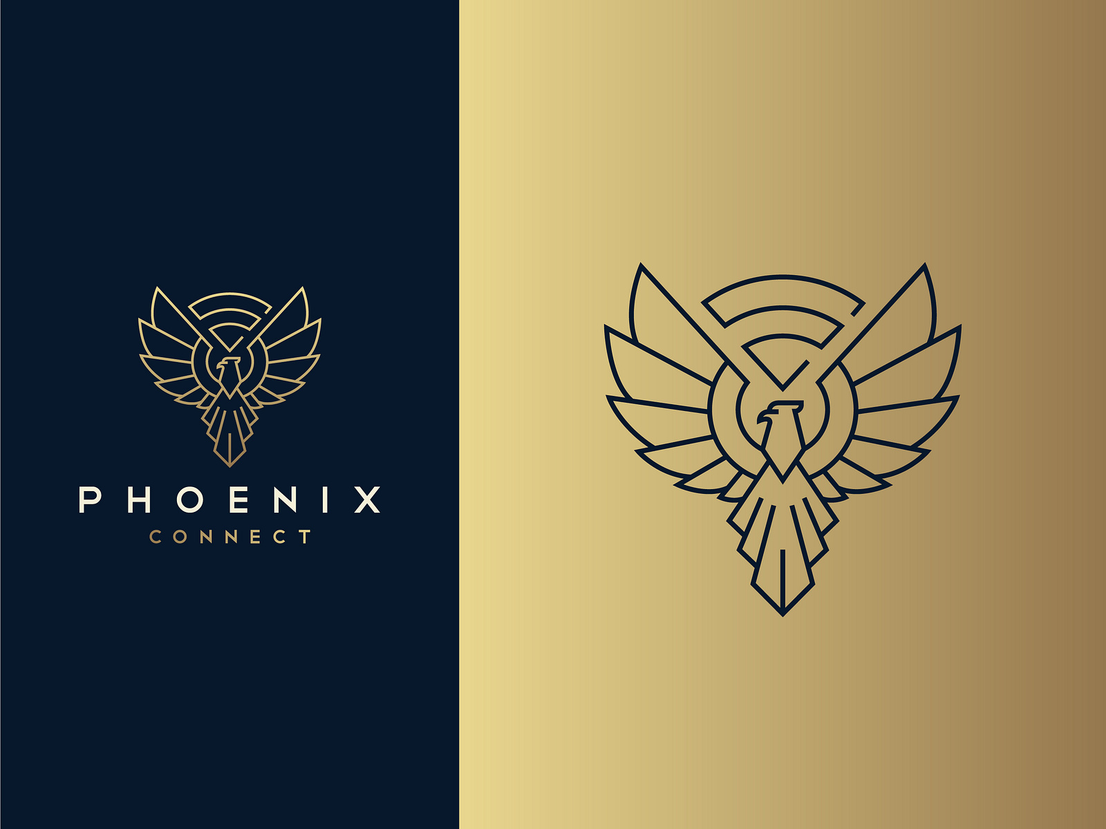 Phoenix Connect by Darshak Faldu on Dribbble