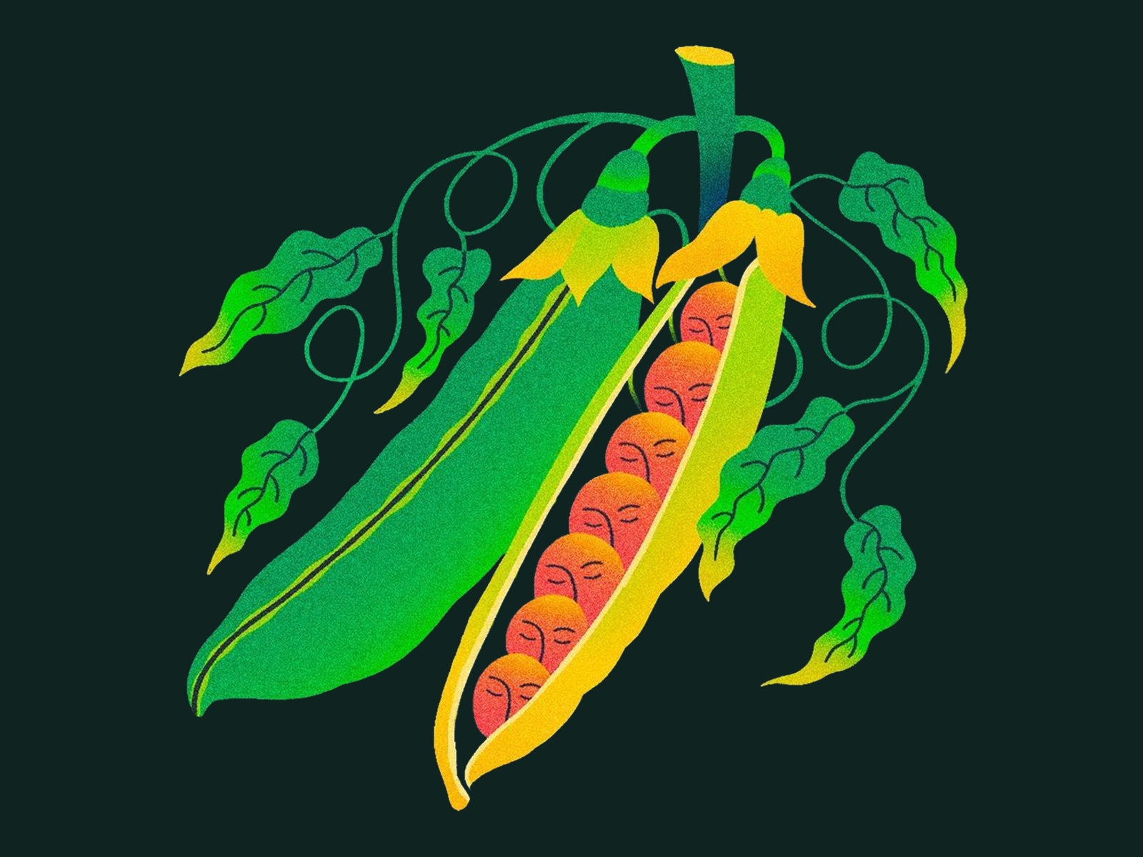 Pea Brothers by Kyle on Dribbble