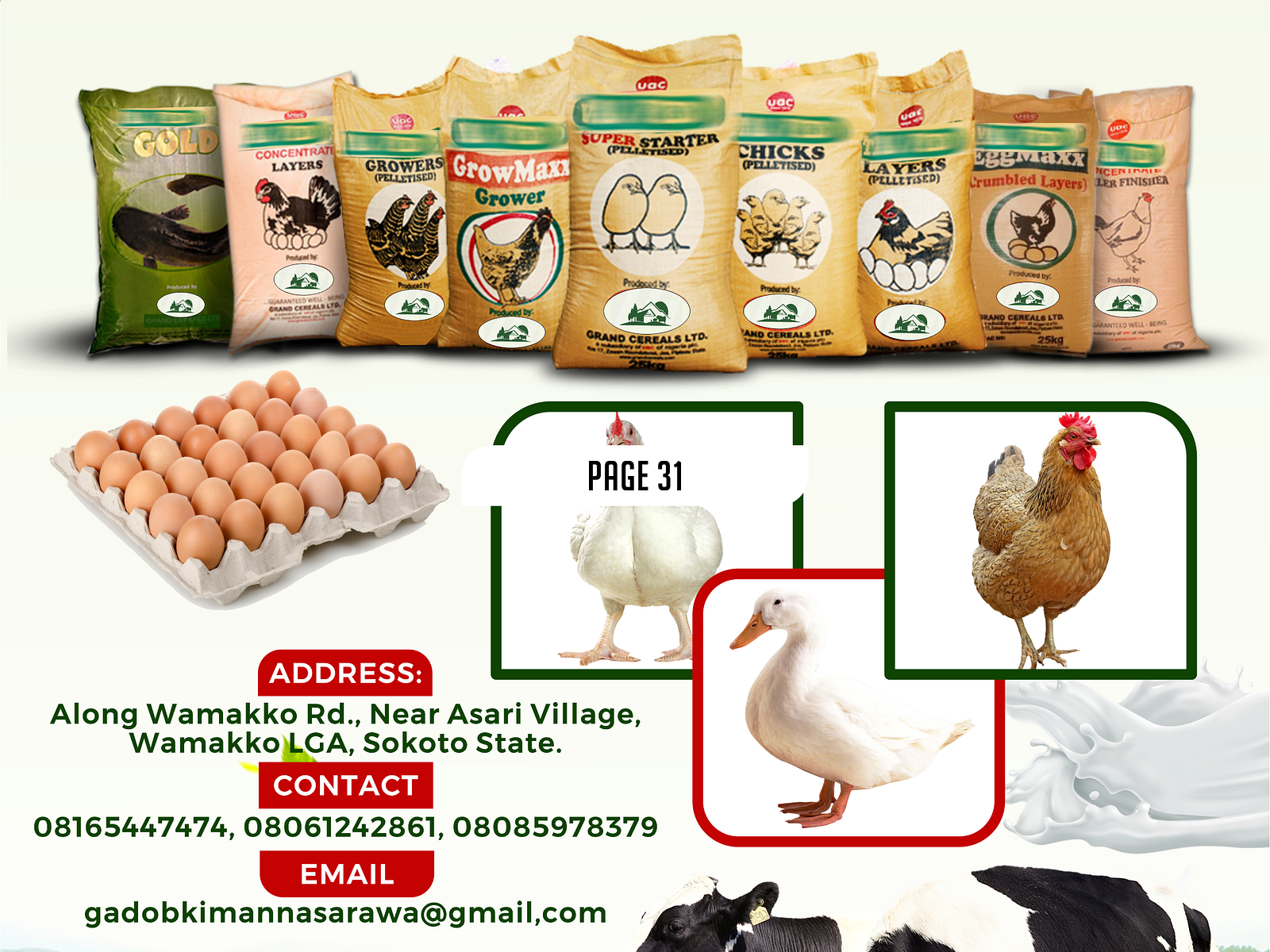 BK FARMS FLYER by Theophilus Emmanuel on Dribbble