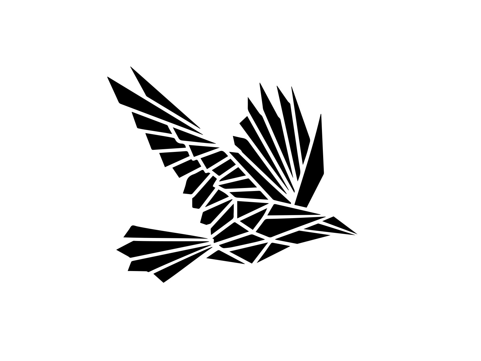 Geometric Raven by Redhawk Designs on Dribbble