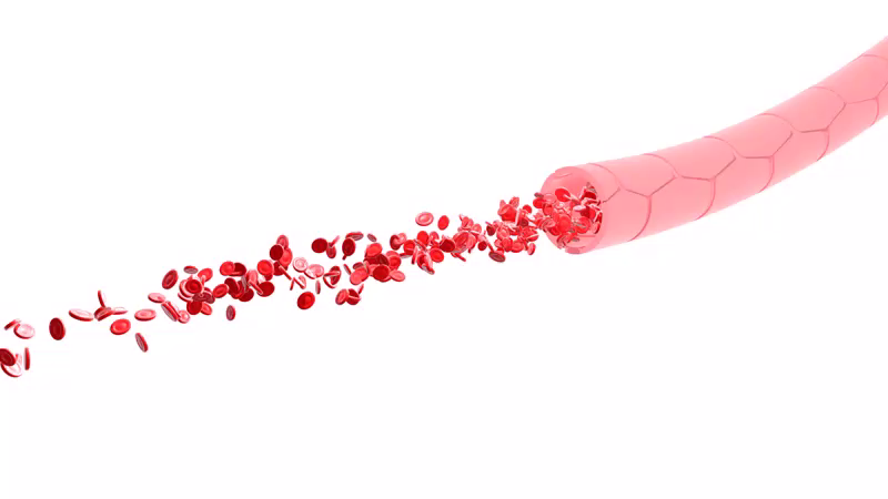 3d animation of circulation in an artery by JM Gallardo on Dribbble