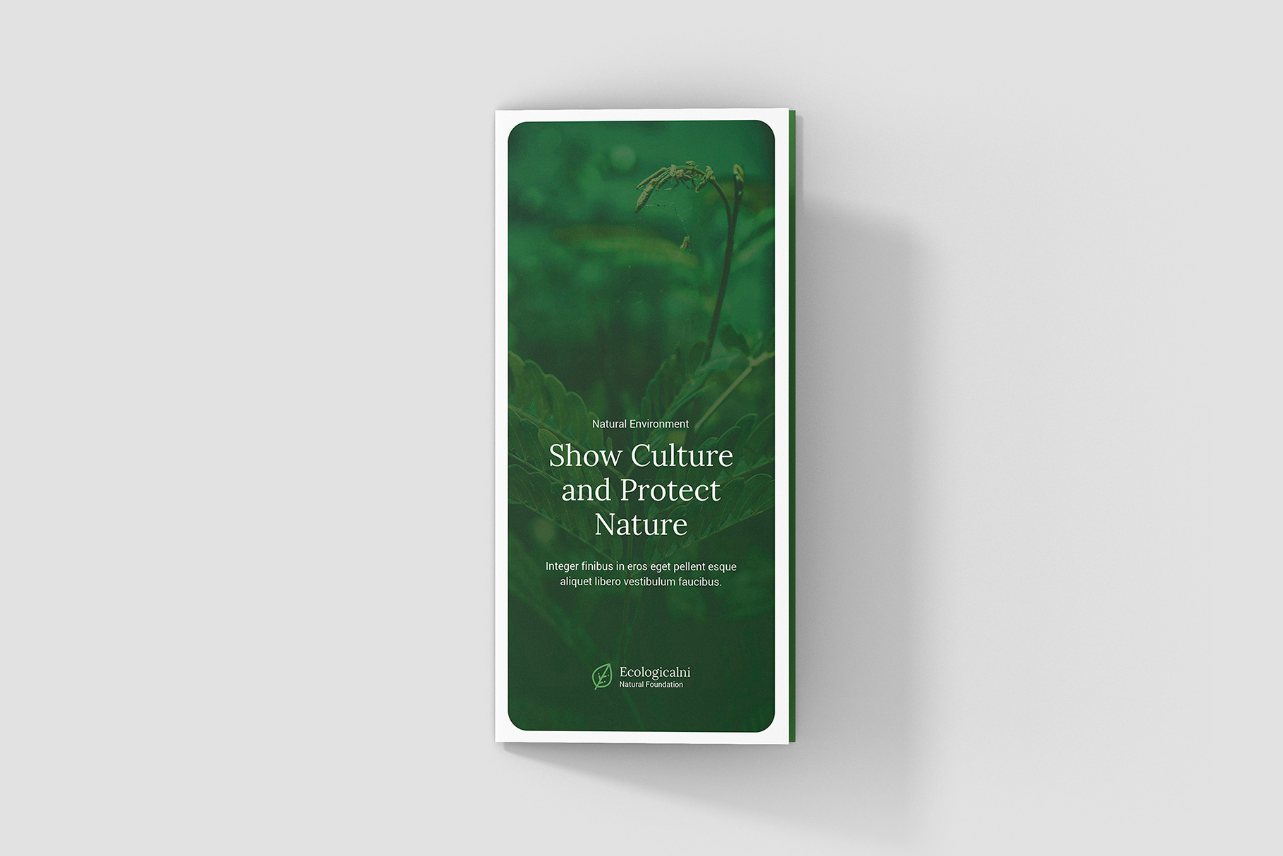 Ecology Brochure Tri-Fold Canva InDesign Photoshop Template by artbart ...