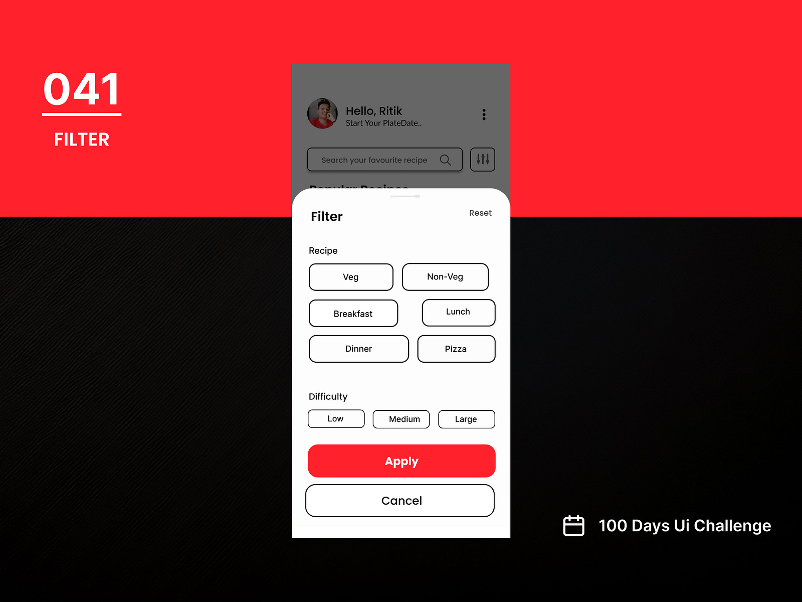 DAY-041 FILTER by Ritik Ray on Dribbble