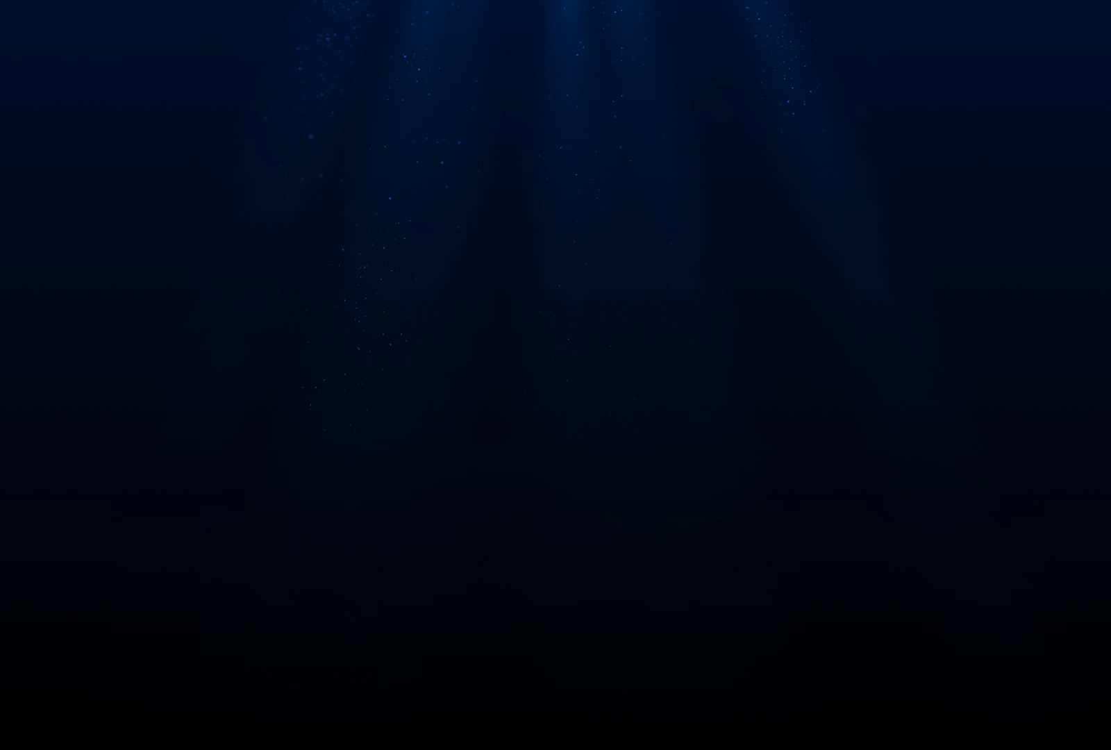 Abstract Logo Animation by Mahbub Hossain Rifat on Dribbble