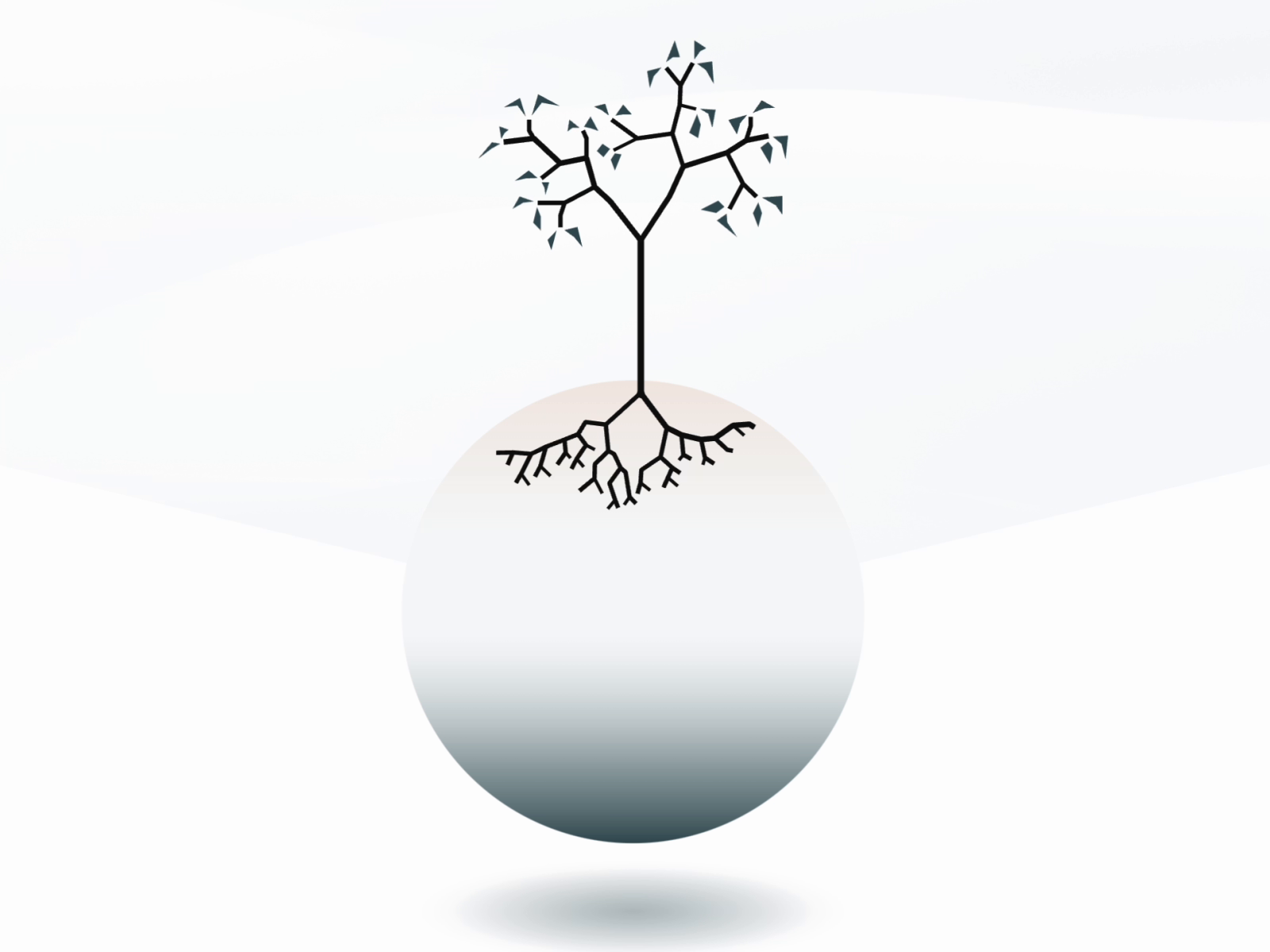 Tree Web Animation by Jan Hemstad on Dribbble