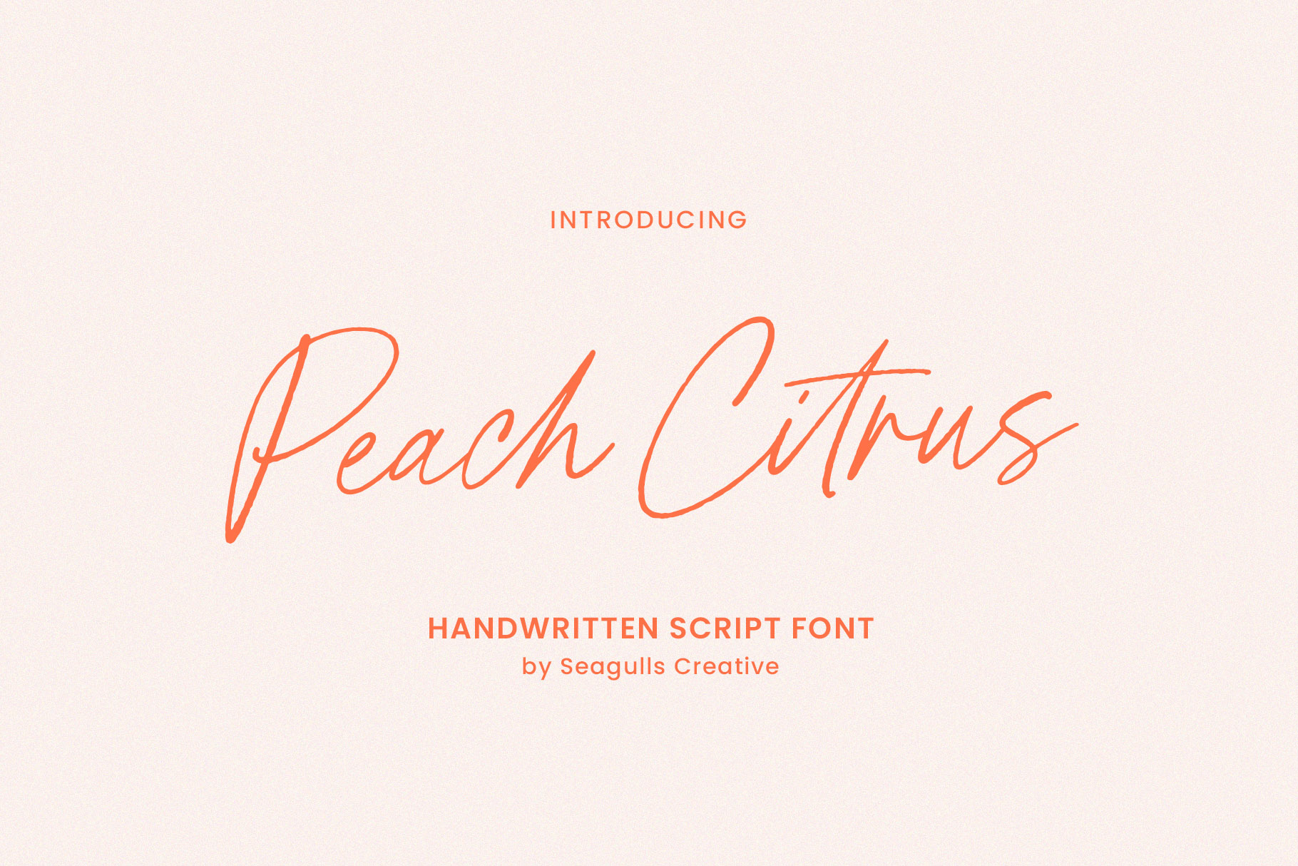 Peach Citrus - Handwritten Script Font by Seagulls Creative on Dribbble