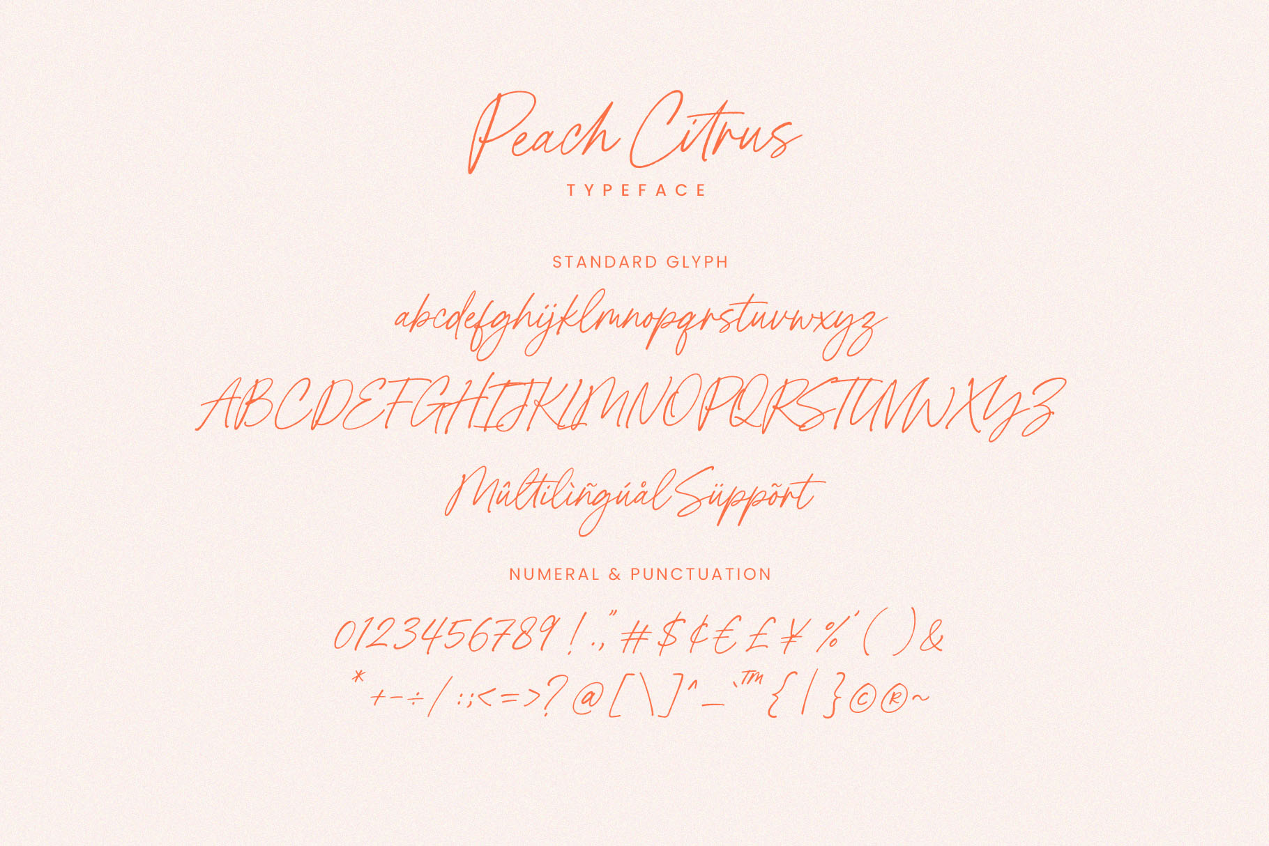 Peach Citrus - Handwritten Script Font by Seagulls Creative on Dribbble