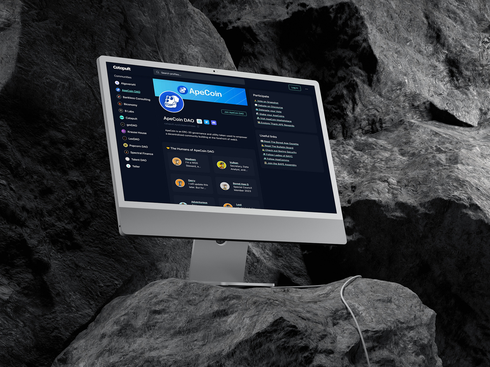 Catapult Web3 Community Platform Profiles by Habib Rehman on Dribbble