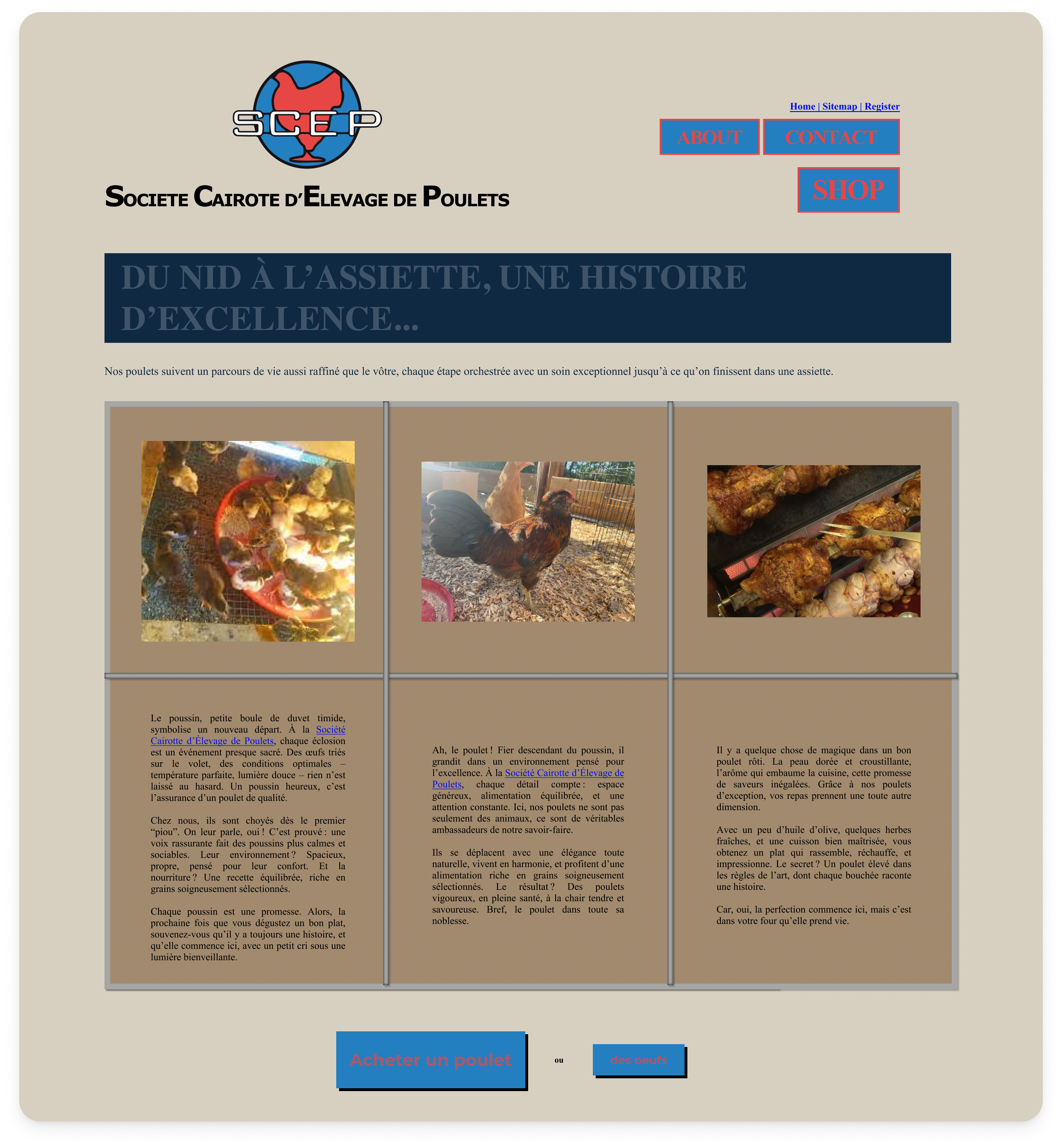 UI/UX Design - Landing page - Website E-commerce SCEP by Thomas T. on ...