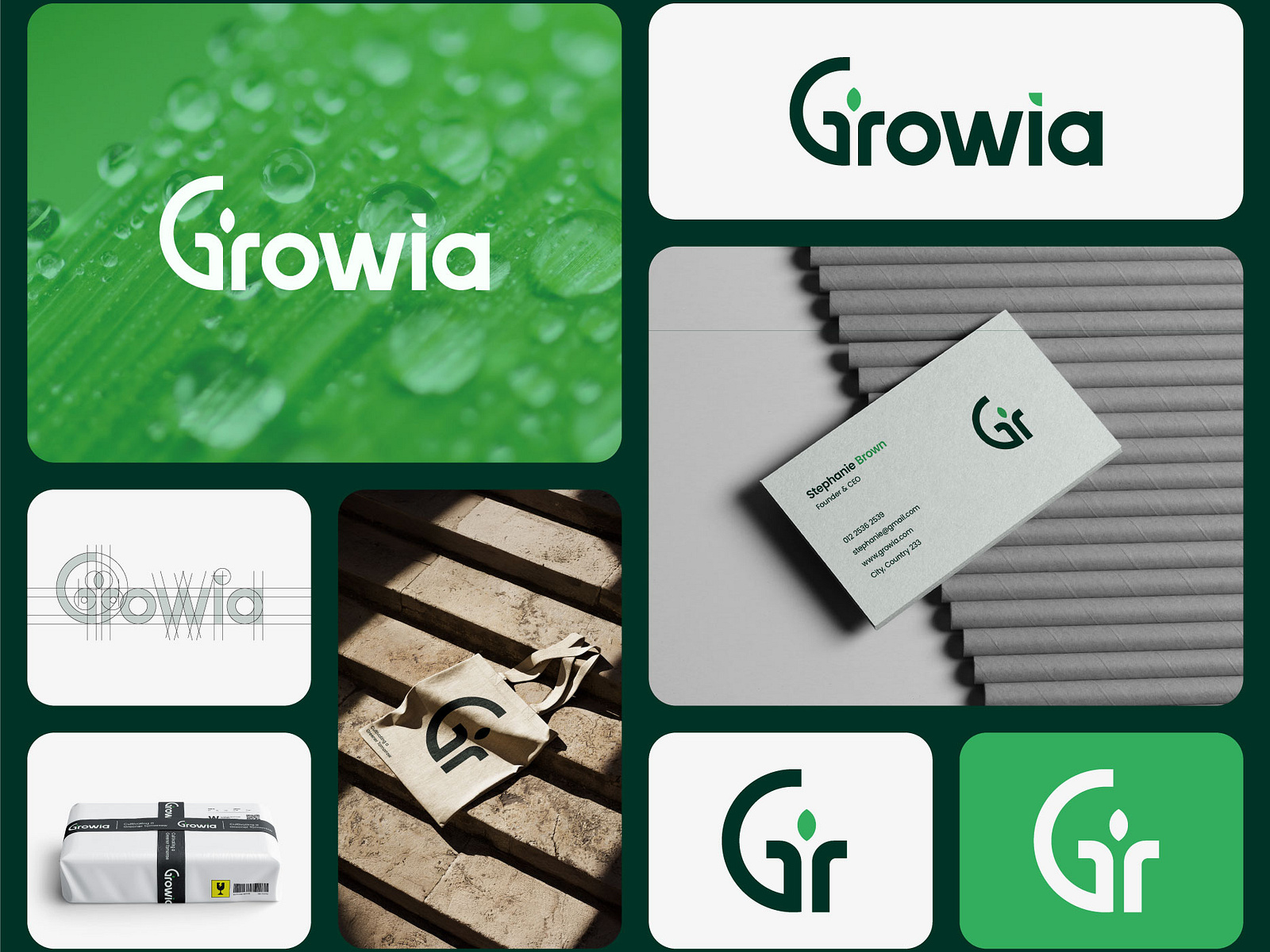 Growia- Clean & Modern Wordmark Logo by Md Shamim Ahmed on Dribbble