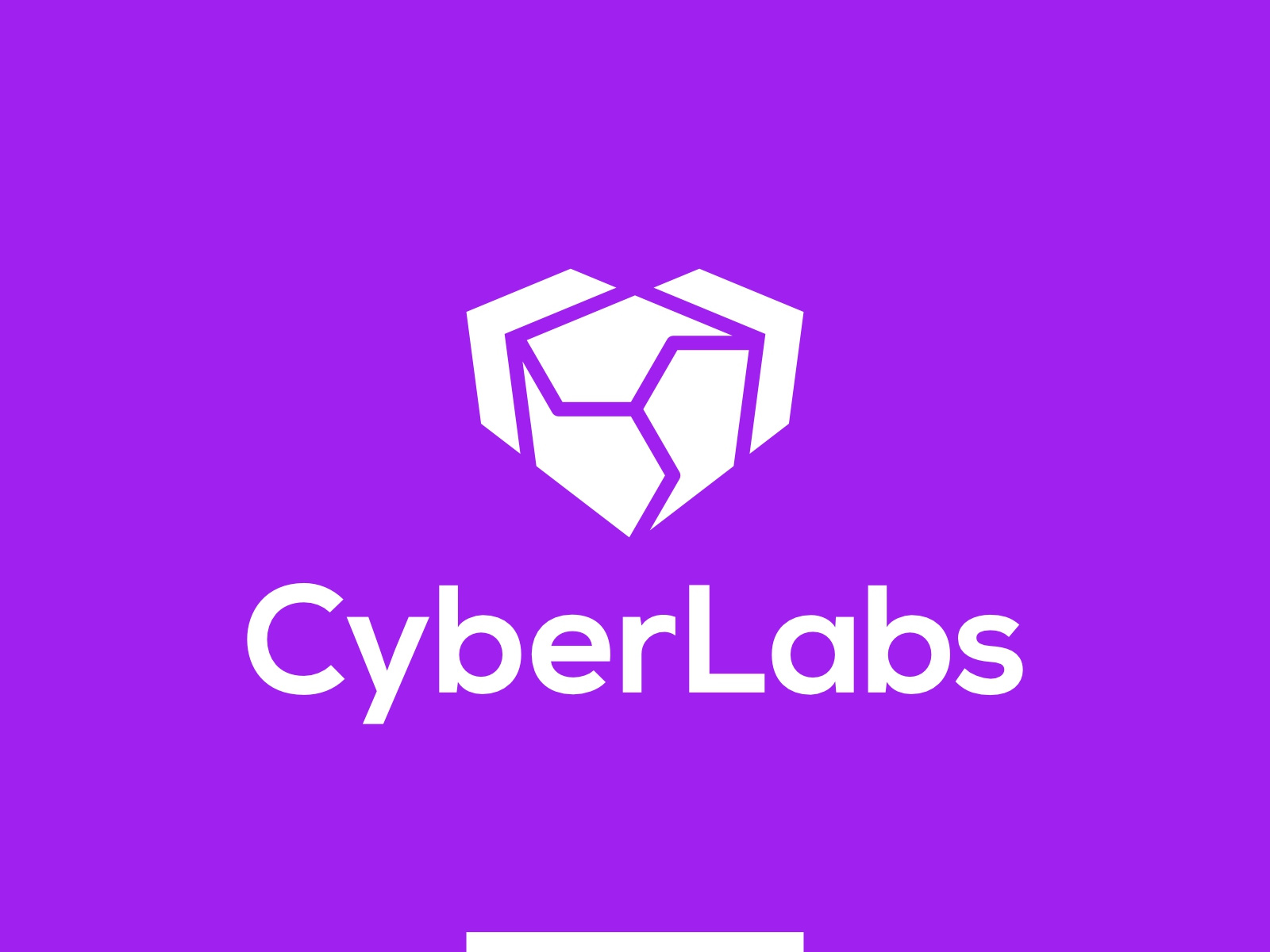 CyberLabs: software, hardware, IT services provider logo design by Alex ...