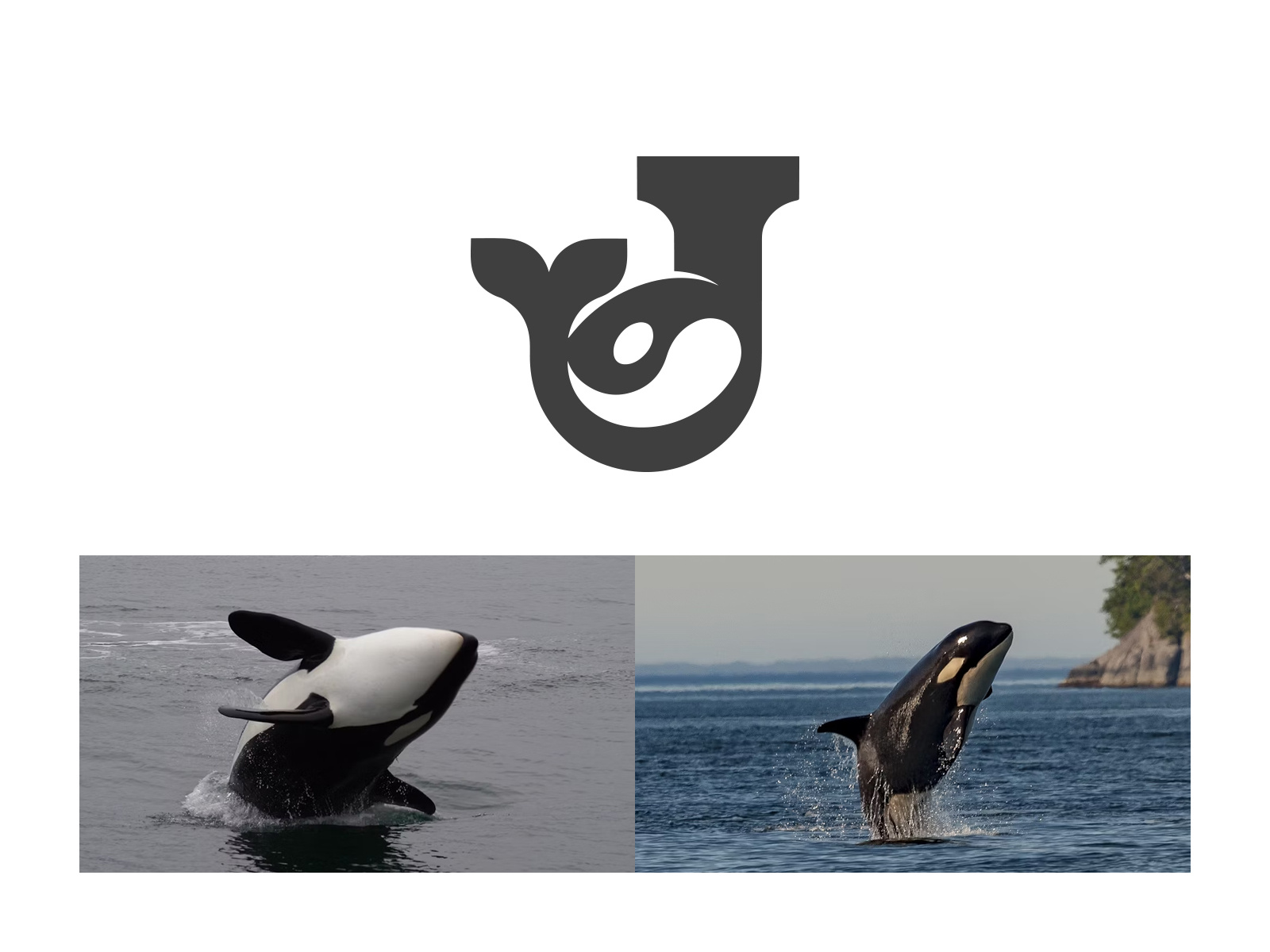 modern letter J orca typography ready-made logo for sale by Anh Do ...