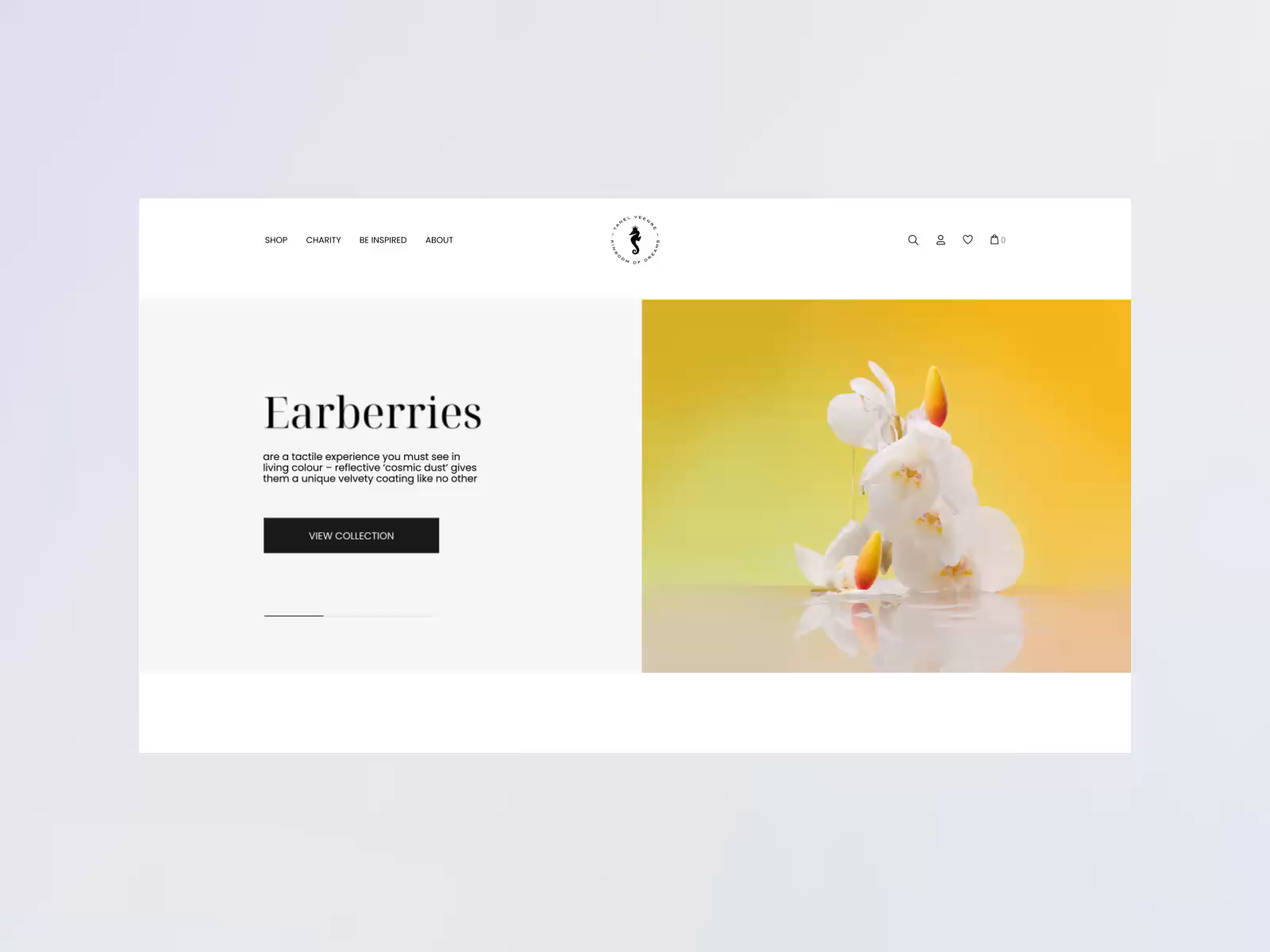 Homepage Animation for E-commerce by Maria Djagileva on Dribbble