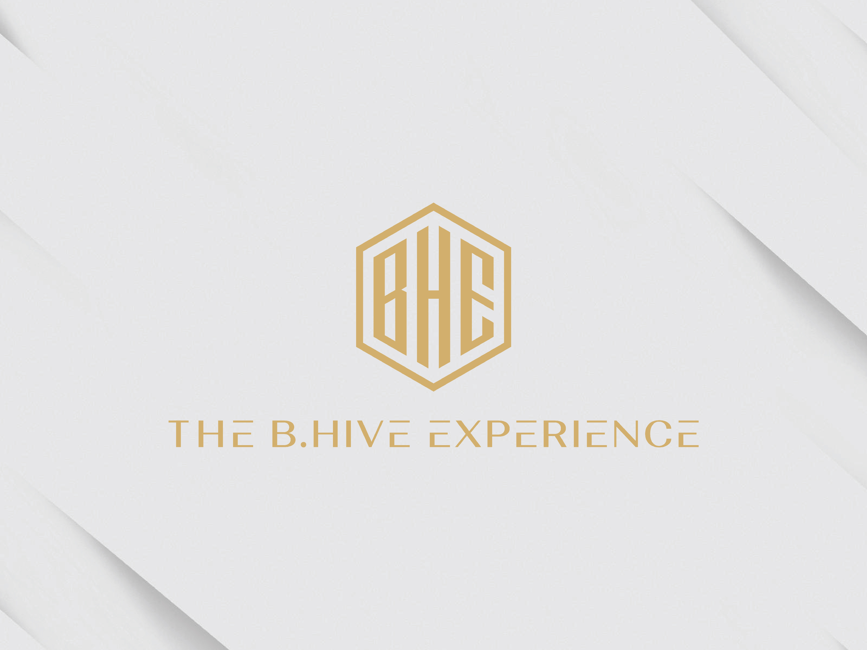 The B.Hive Experience - Minimalist Logo Animation by Hello Friday ...